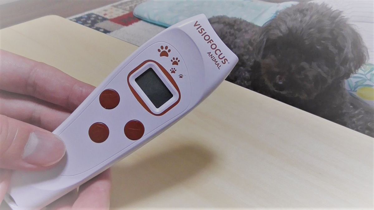 動物用非接触型体温計ビジオフォーカス、愛犬や愛猫の健康管理をご提案。