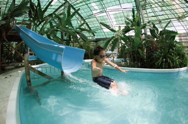 鎮座DOPENESSやLIBROらが出演『STARNGER THAN ISLAND』 植物園パーティーが今秋開催！